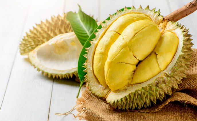 ≡ Tout sur le Durian : Un Fruit Exotique Malodorant | Ses Secrets