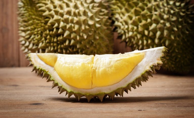 ≡ Tout sur le Durian : Un Fruit Exotique Malodorant | Ses Secrets
