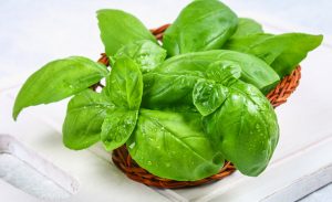 ≡ Basilic : Bienfaits et Utilisation en Cuisine | Super Marmite