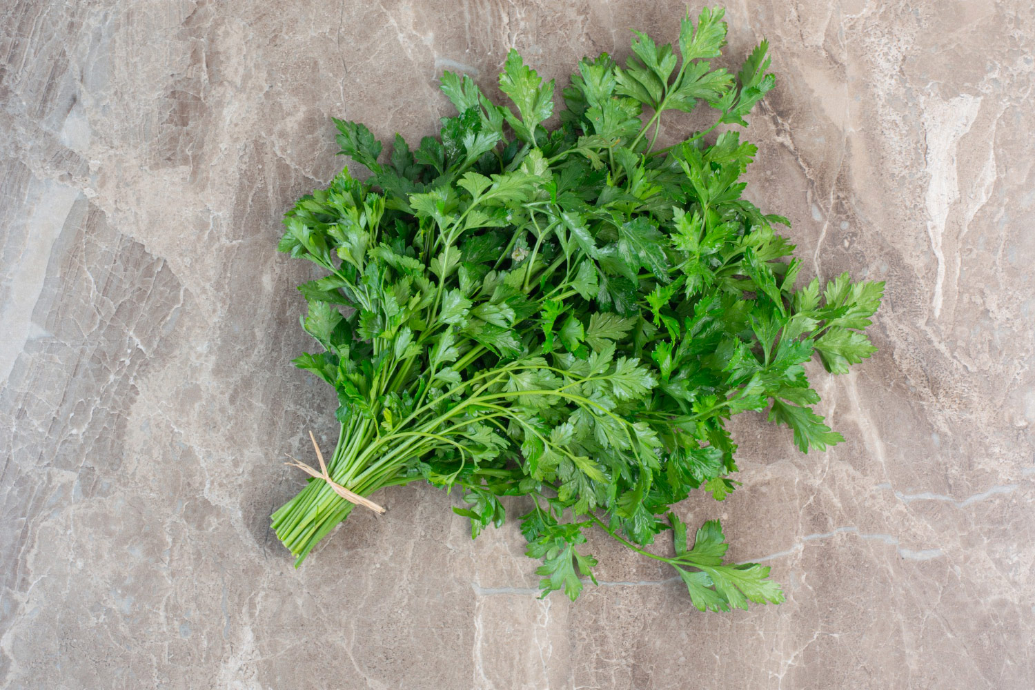≡ Persil : Bienfaits, Danger et Utilisation en Cuisine