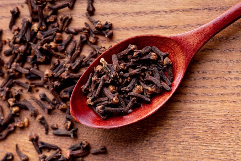 ≡ Clou de Girofle : Bienfaits, Vertus, Soulage Dents | Utilisations Cuisine