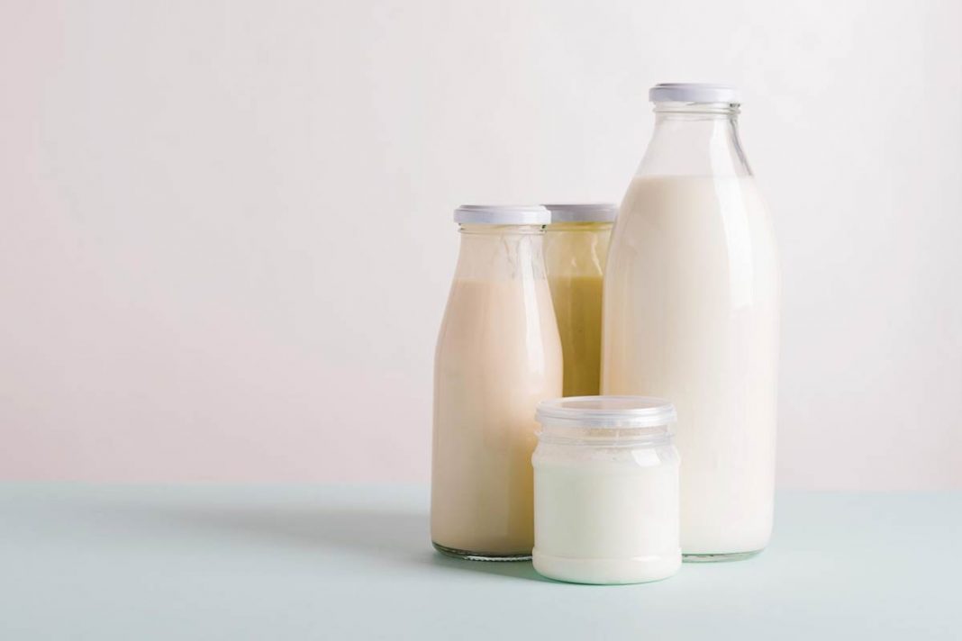 ≡ Tout Savoir sur les Ferments Lactiques et leurs Bienfaits