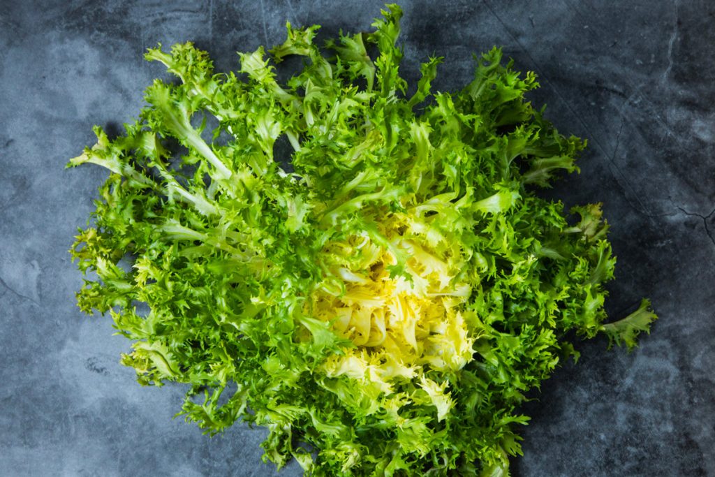 ≡ La Scarole : Bienfaits de Cette Salade d'Automne & Hiver