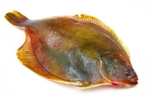 ≡ Tout sur la Sole : Variétés, Cuisson, Bienfaits & Idées Recettes