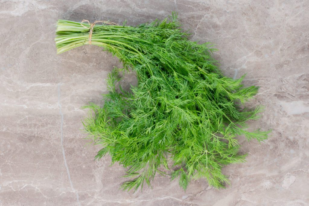 ≡ Aneth : Origine, Bienfaits et Utilisation en Cuisine