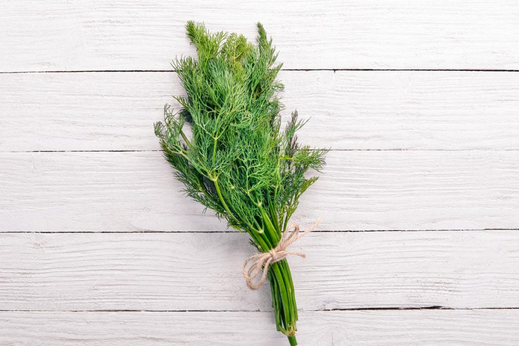 ≡ Aneth : Origine, Bienfaits et Utilisation en Cuisine