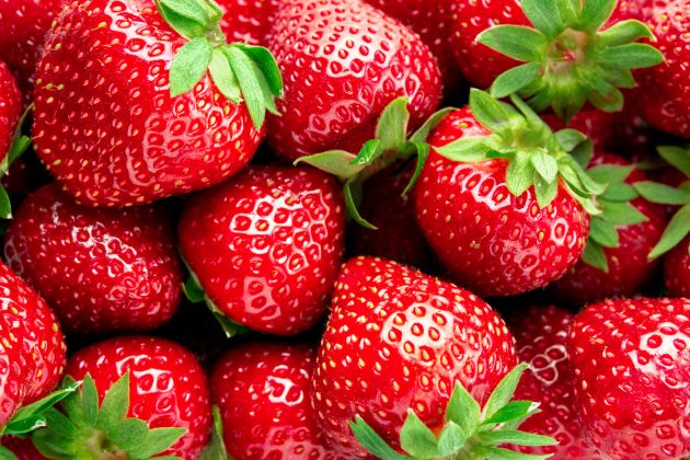 ≡ Tout Savoir sur les Fraises : Variétés, Cultures, Idées Recettes