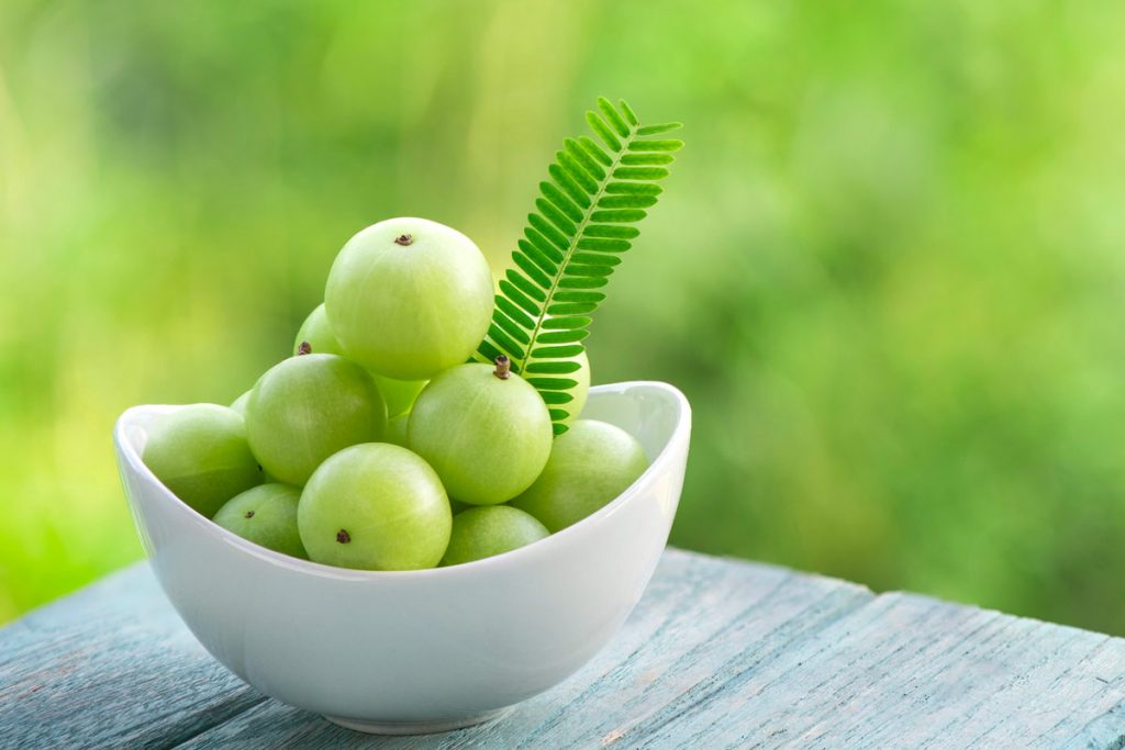 Amla : Origines, Bienfaits, Propriétés et Contre-Indications