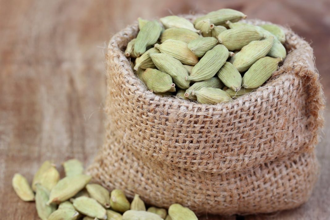 ≡ Cardamome : Origine, Bienfaits et Utilisation en Cuisine