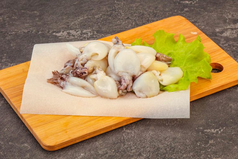 ≡ La Seiche : Encre, Cuisson et Idées Recette avec ce Mollusque