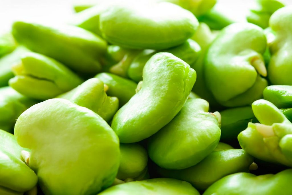 Les Fèves : Nutrition, Bienfaits et Recettes Faciles