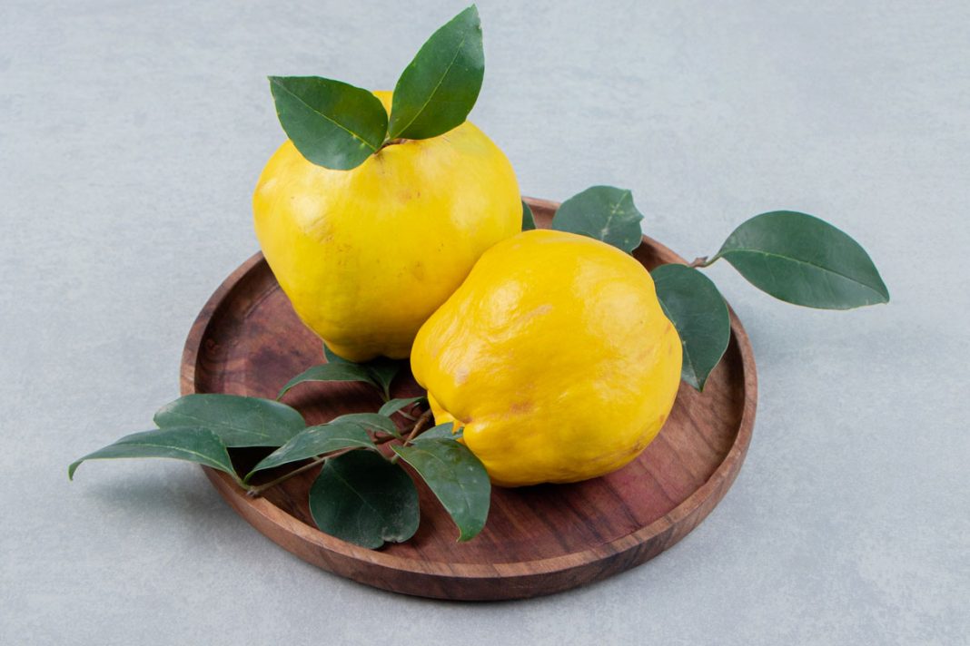 Les Coings : Origine, Saison et Bienfaits de ce Fruit d'Automne