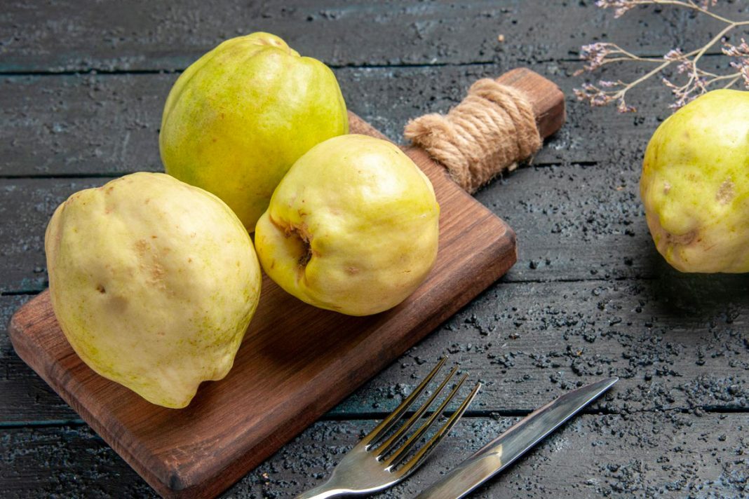 Les Coings : Origine, Saison et Bienfaits de ce Fruit d'Automne