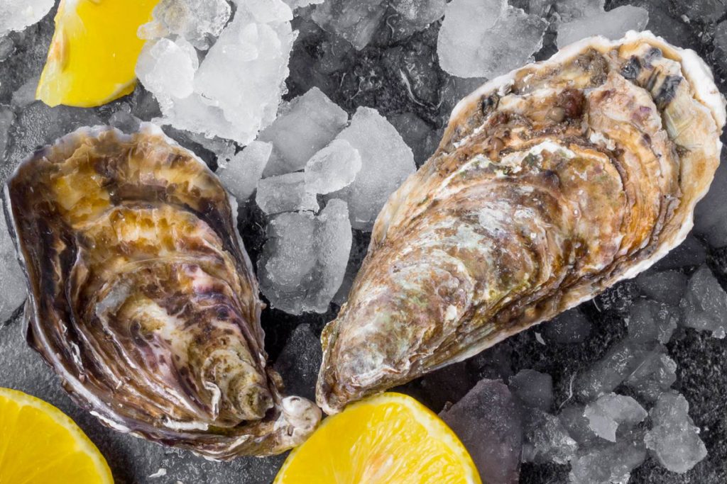 Comment Choisir des Huitres ? Nos Conseils