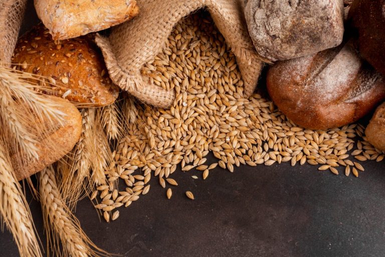 Le malt : propriétés et caractéristiques | Super-marmite.com