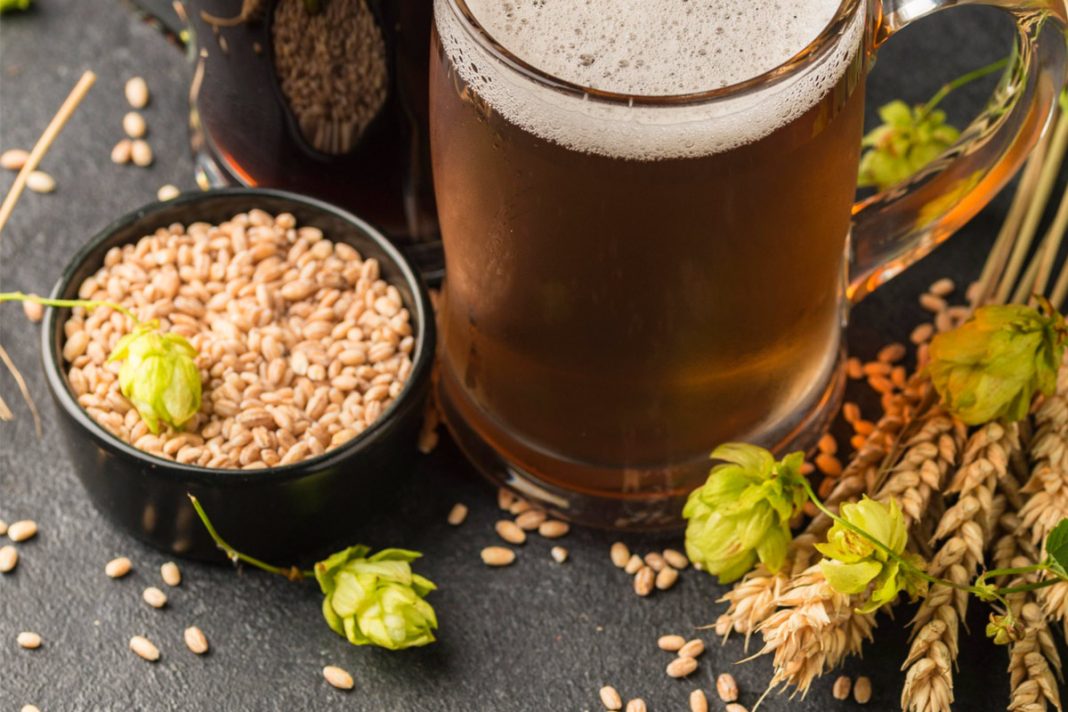 Le malt : propriétés et caractéristiques | Super-marmite.com